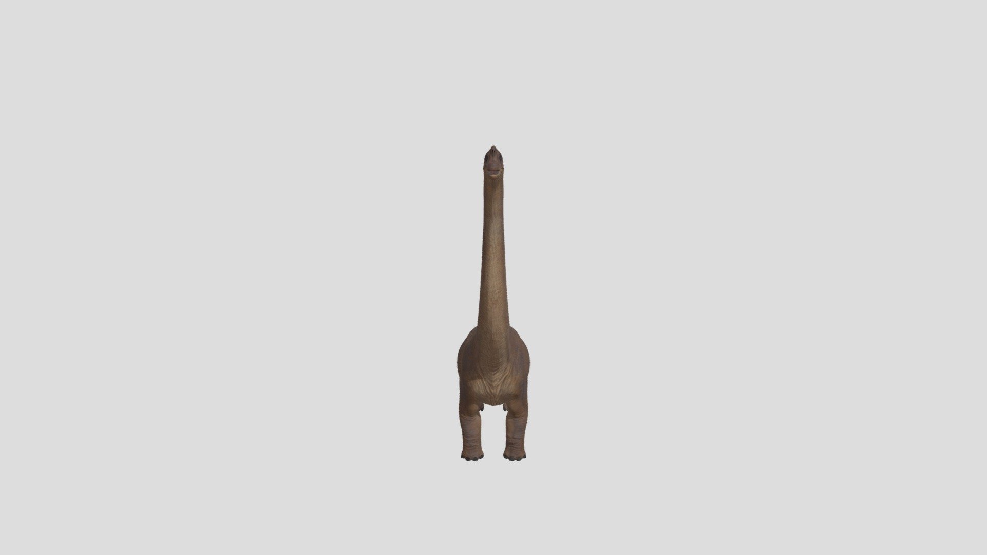 JW Brachiosaurus - Download Free 3D model by Wazify (@hughesconnor011) [d367f3e] - Sketchfab