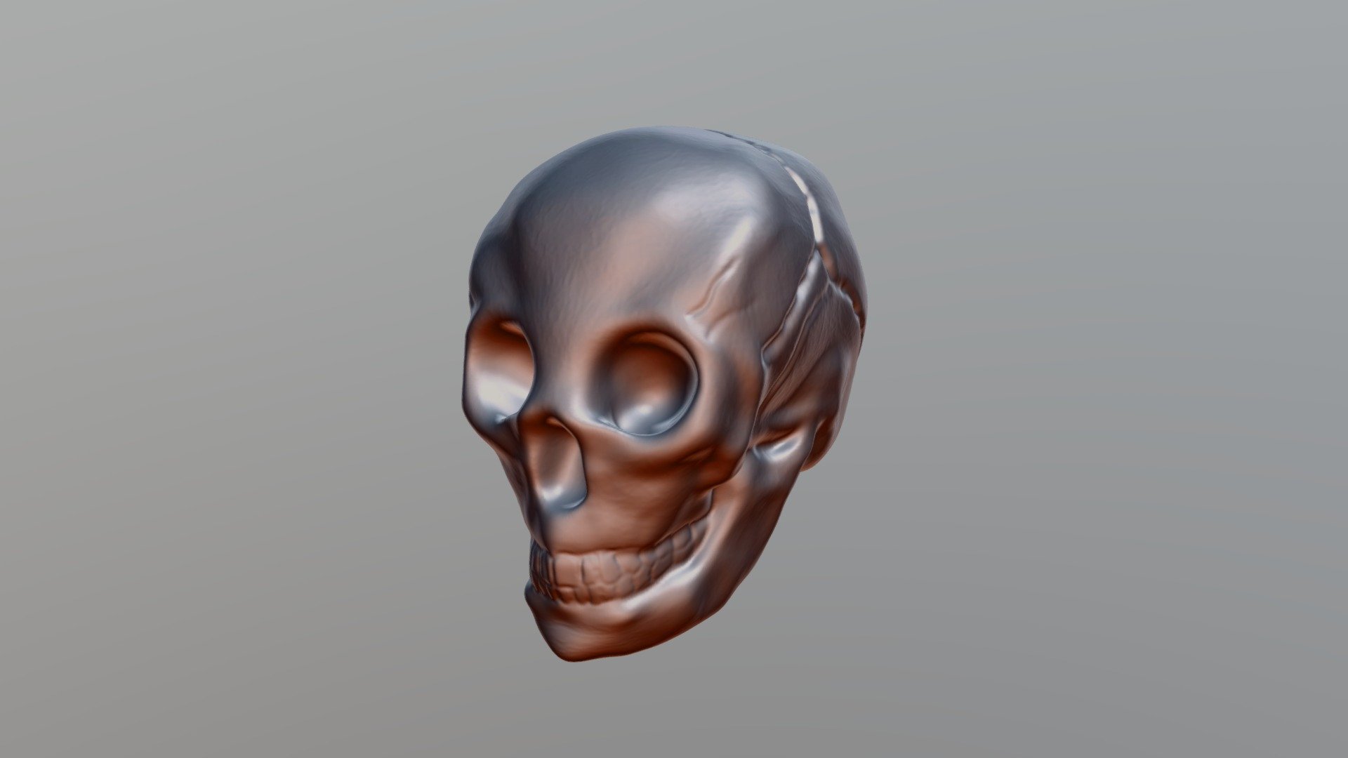 Skull - 3D model by Alejandro (@alejandroespluga) [d368e6a] - Sketchfab
