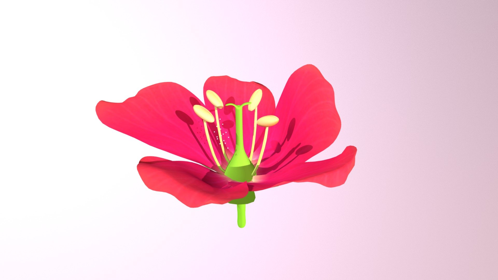 Flower 3D - 3D model by Scan Book (@Thearith) [d373d04] - Sketchfab