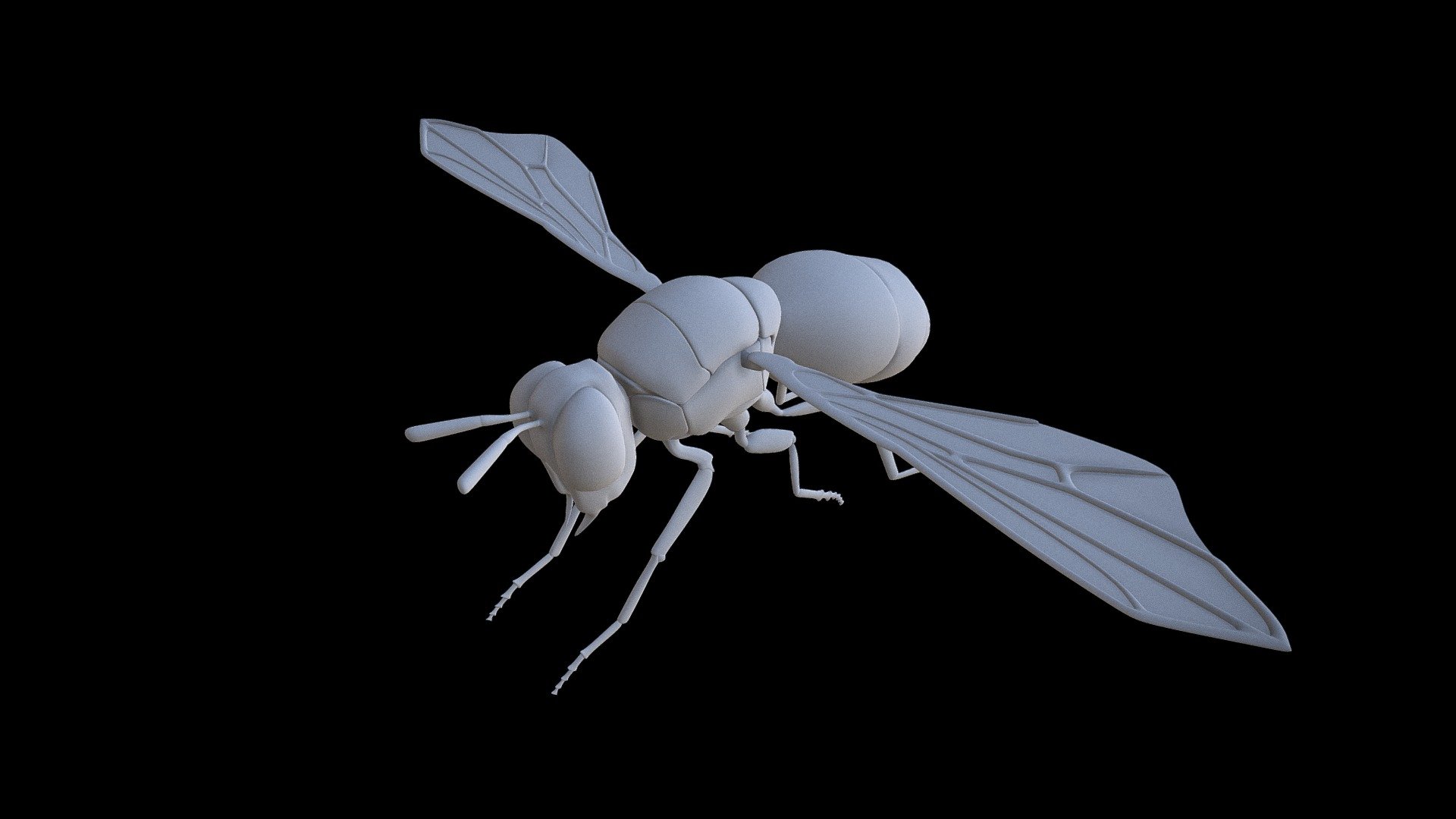 Insect - 3D model by nickqd [d380337] - Sketchfab