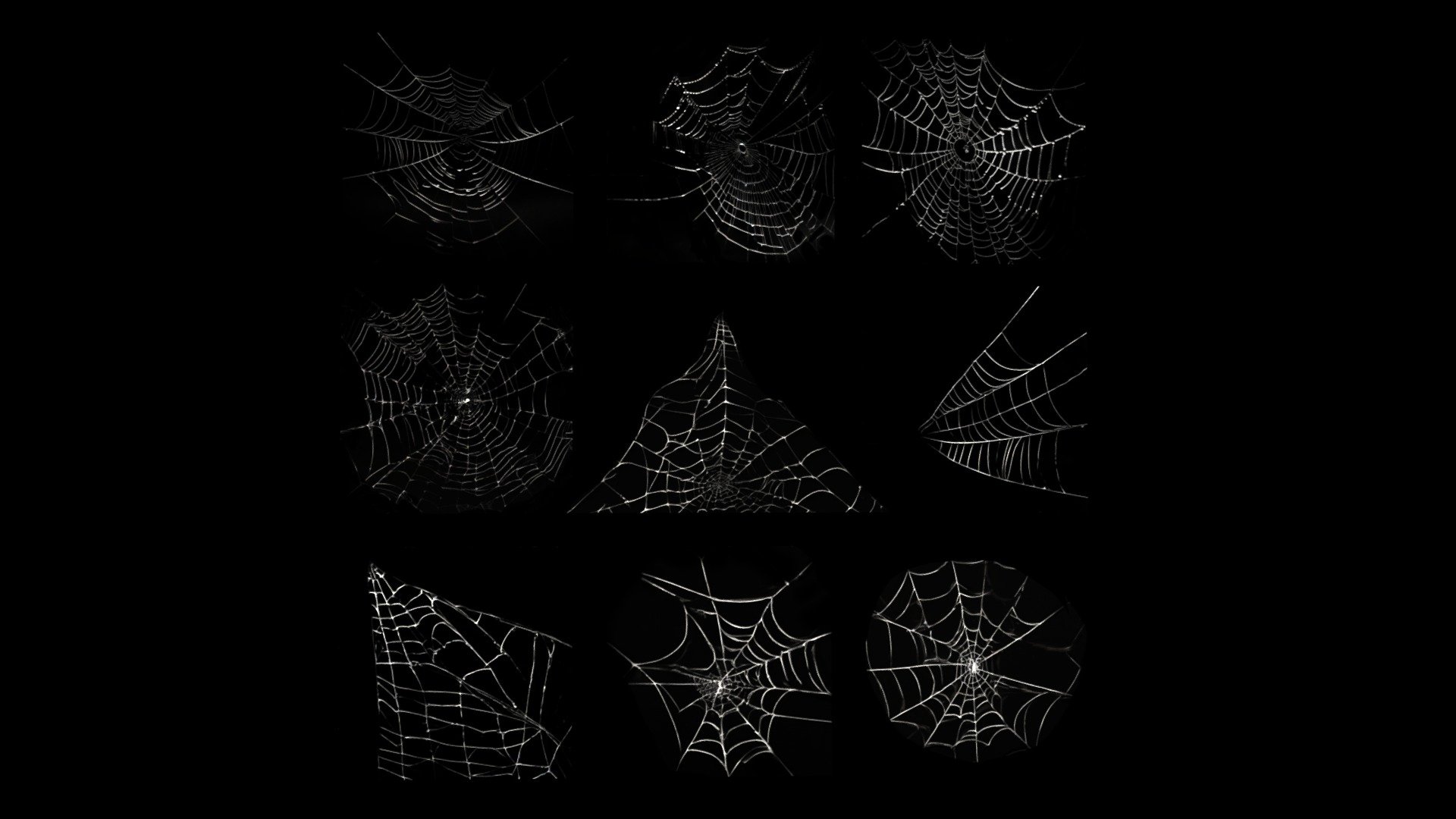 Spider Webs Pack One - Buy Royalty Free 3D model by ...