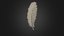 Feather Sculpt 5k Straight - 3D model by dovydas [d398f3c] - Sketchfab