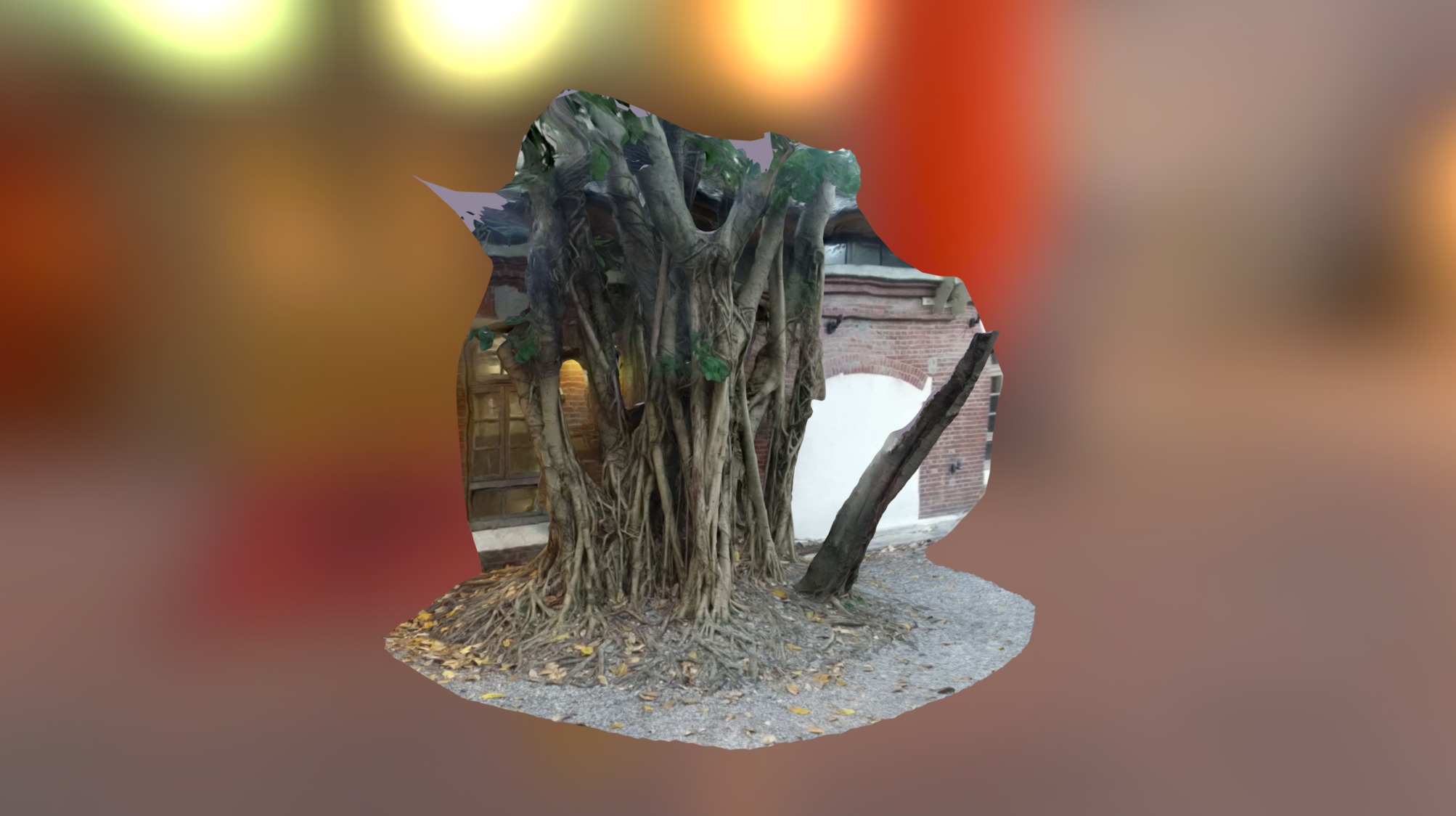 20170218 The Very Old Tree - 3D model by mike210tw [d39bb48] - Sketchfab