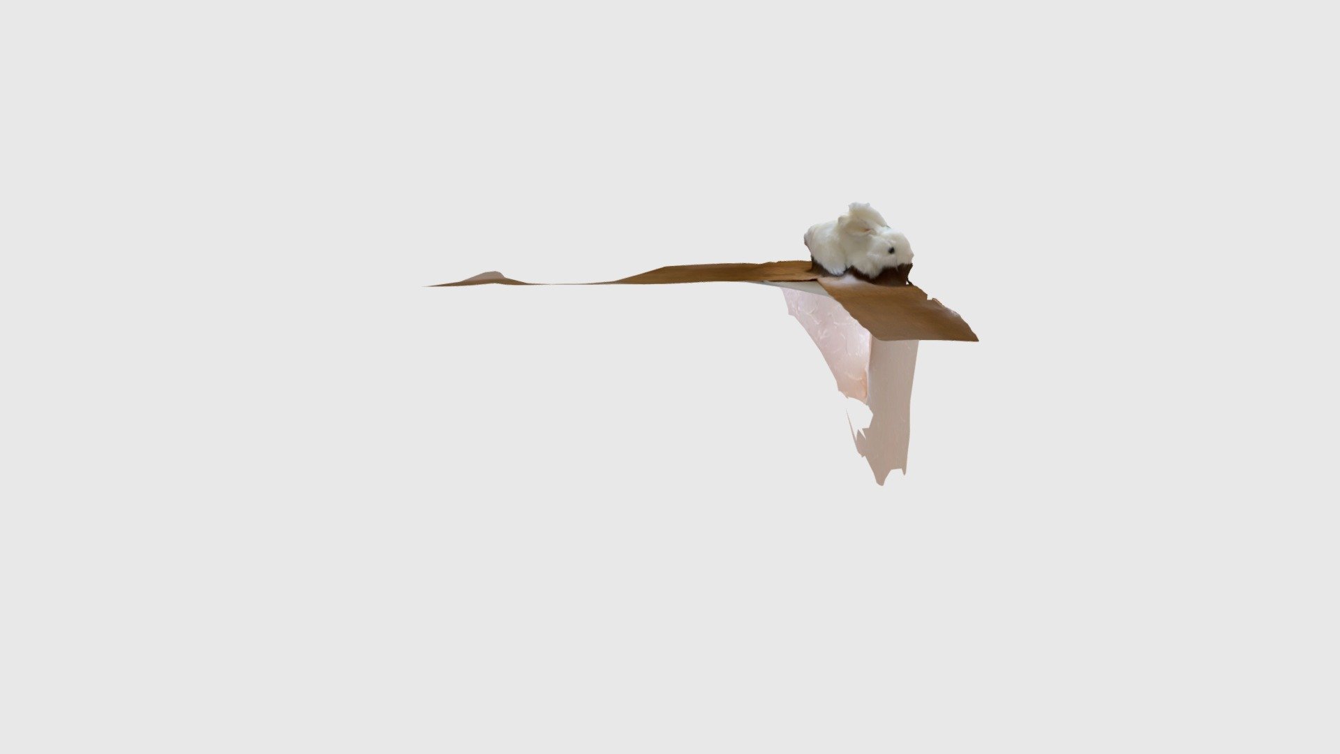 rabit - Download Free 3D model by sshono [d39c6dd] - Sketchfab