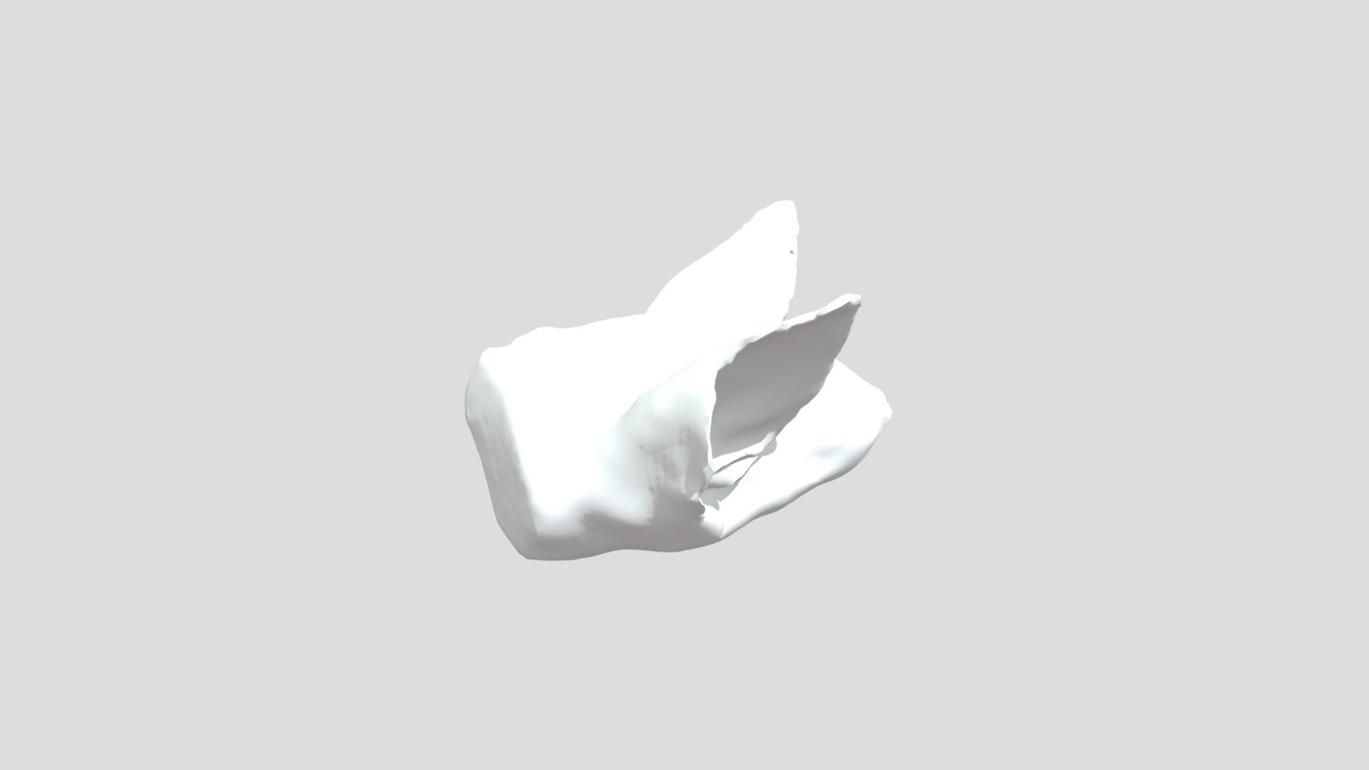 Photogrammetry scan of dead bat - 3D model by kav_sdu [d3b2955] - Sketchfab