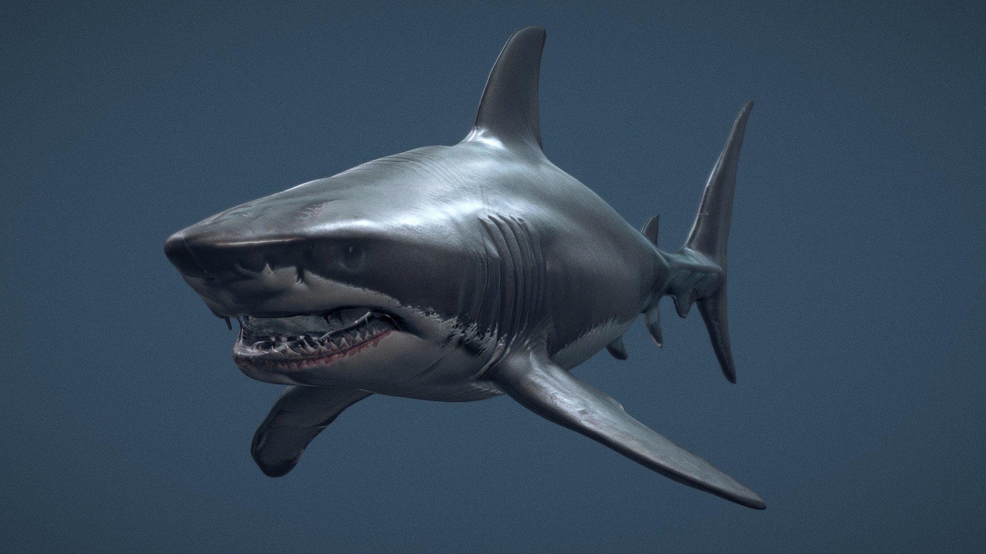 megalodon biggest shark - Download Free 3D model by ChoochooLi Models ...