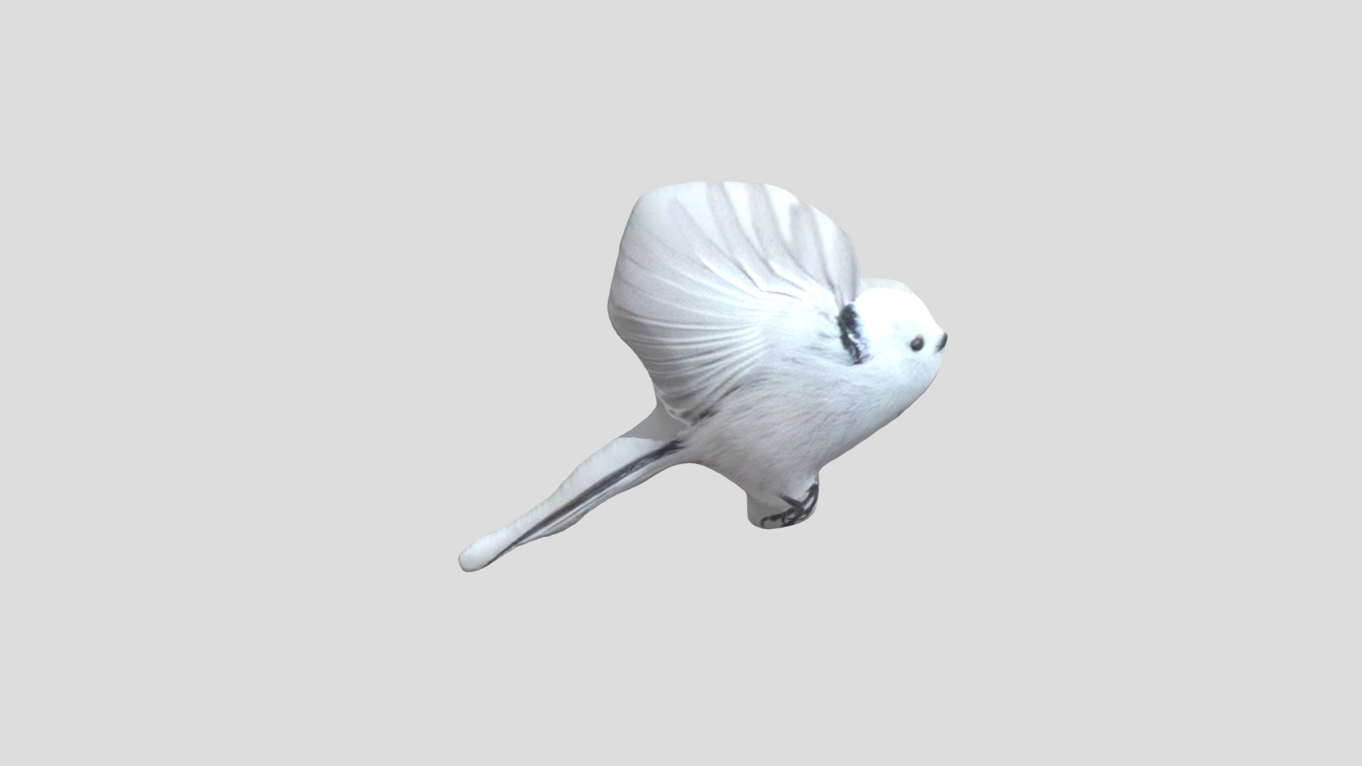 bird - 3D model by 409730255 [d3b43c7] - Sketchfab