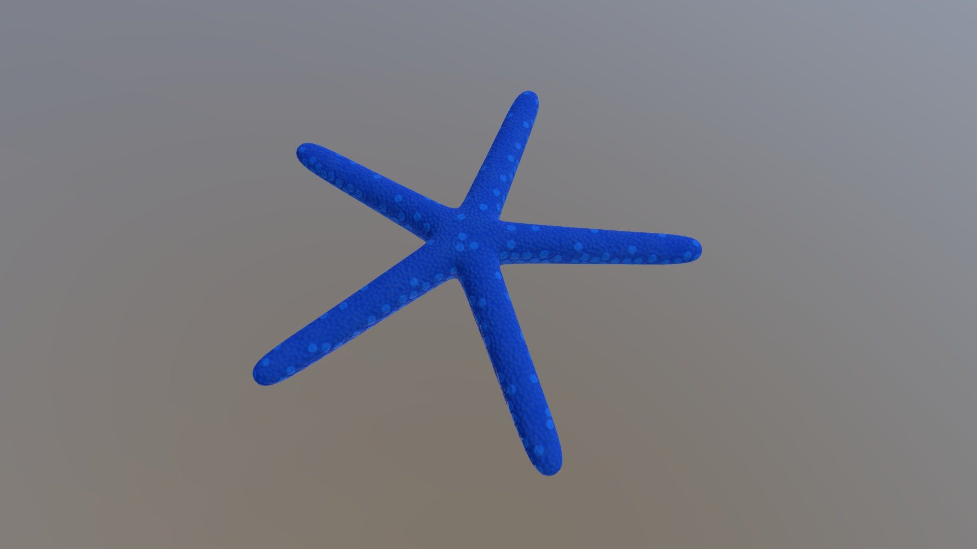 Blue Linckia Starfish - Download Free 3D model by Jess.Fittock [d3b89a3 ...