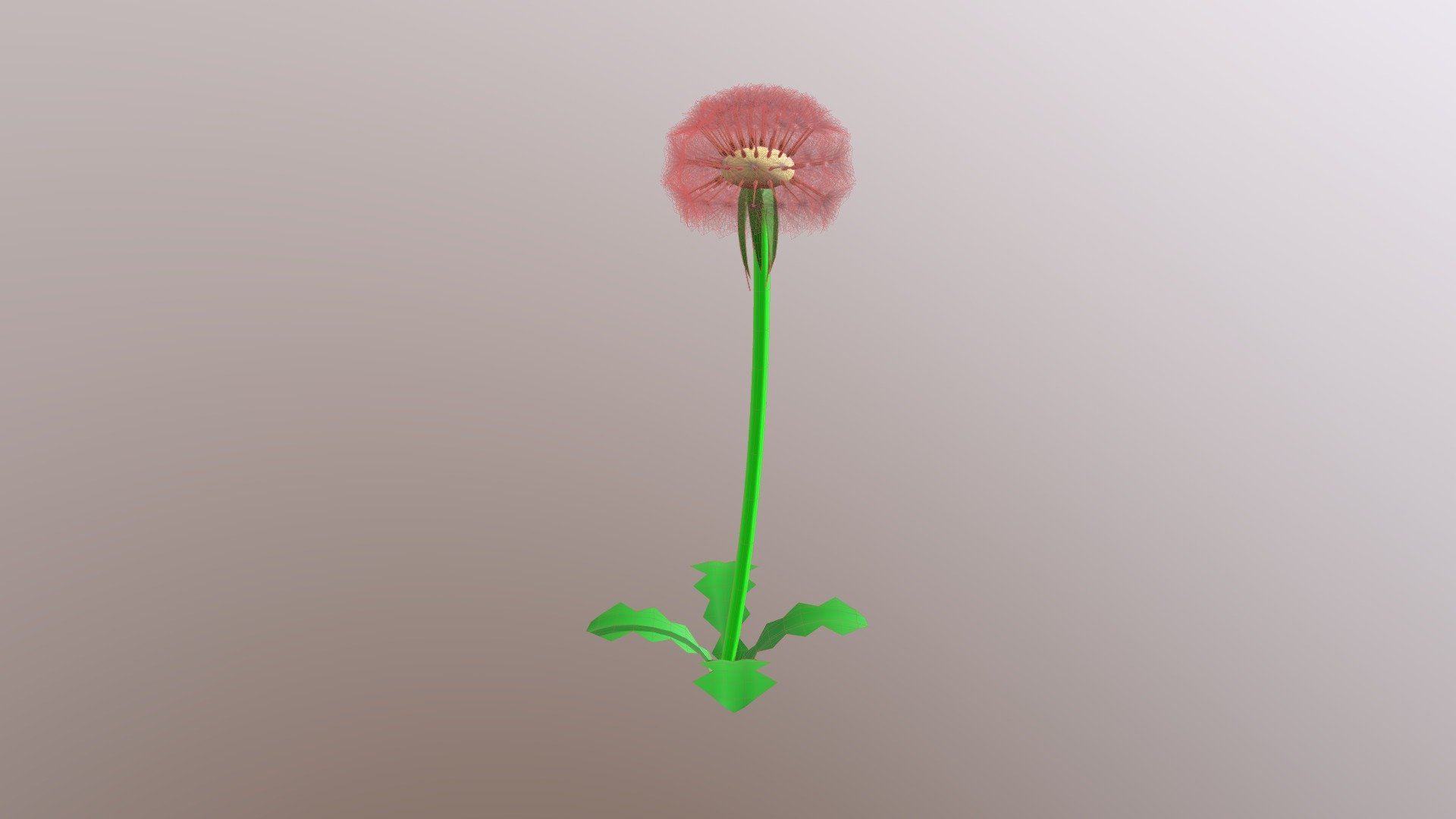 Dandelion - 3D model by Samuel Klaers (@samuelklaers) [d3b9235] - Sketchfab