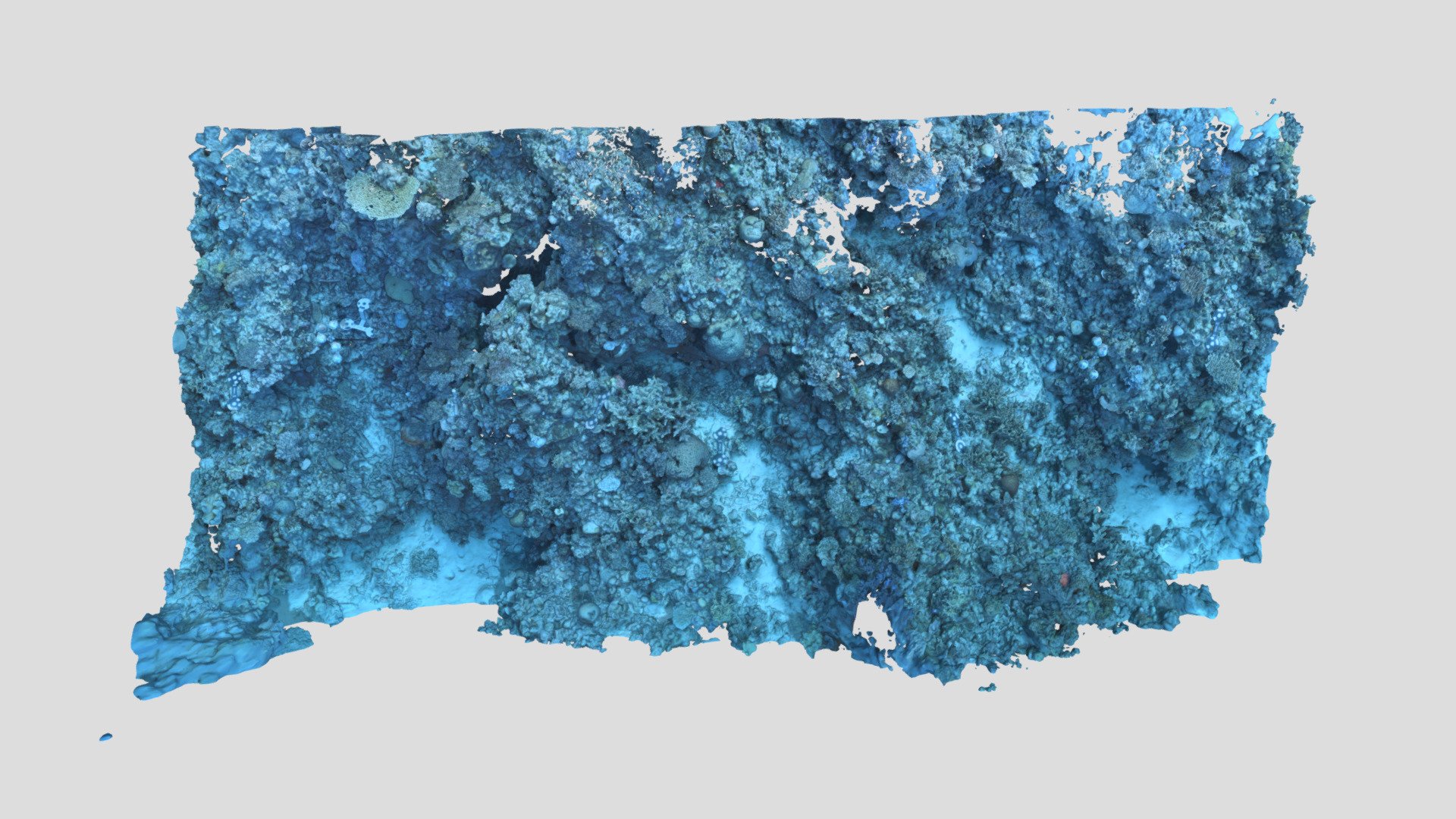 Davies_FL1D_P4_202101 - 3D model by EcoRRAP (@AIMSEcoRRAP) [d3b94d3 ...