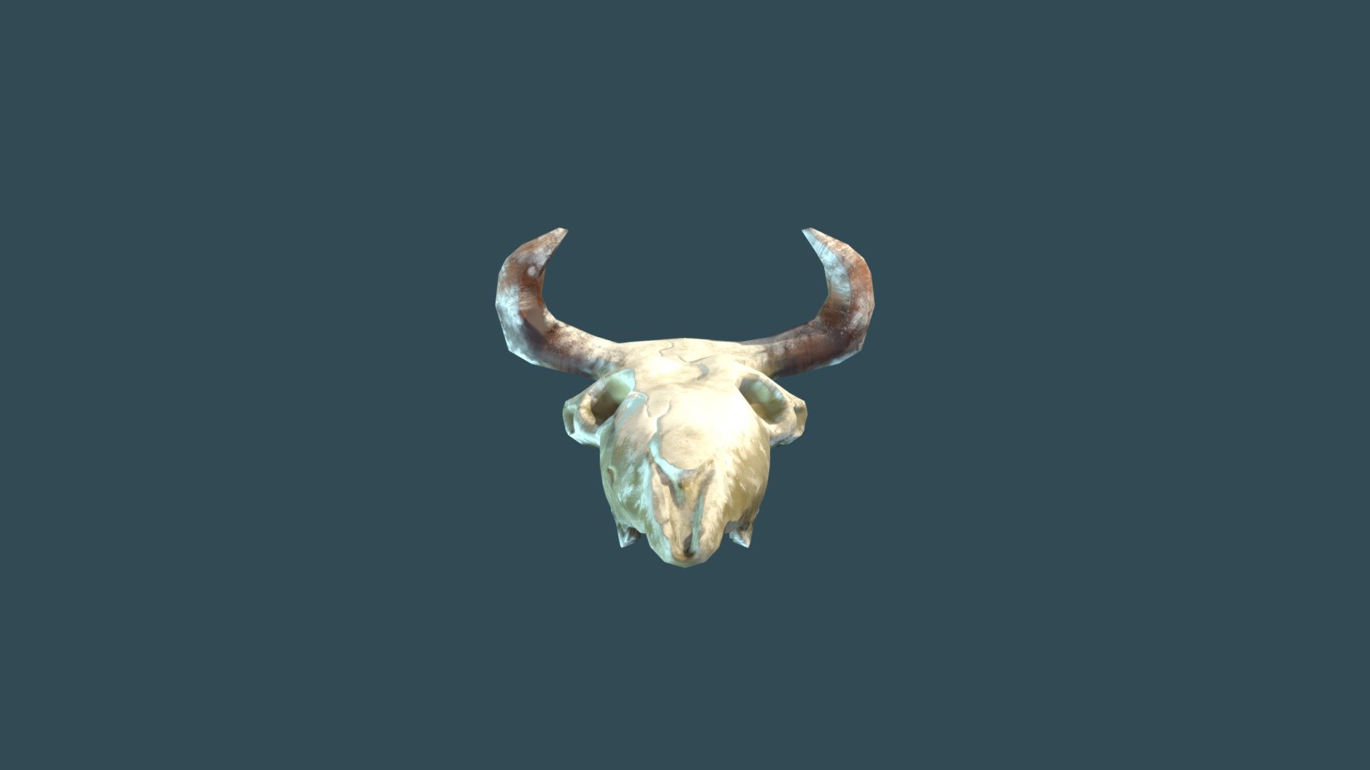 Taurus Skull - 3D model by Phaelis [d3bdec4] - Sketchfab
