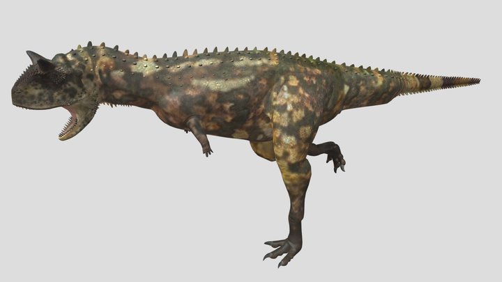 Carnotaurus 3D models - Sketchfab