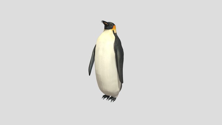 Penguins 3D models - Sketchfab