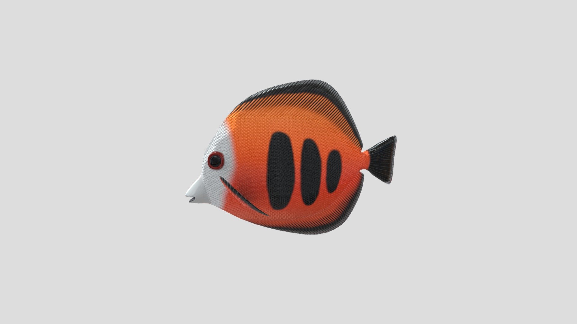 Fish - Download Free 3D model by GreysonPerrin [d3d3123] - Sketchfab