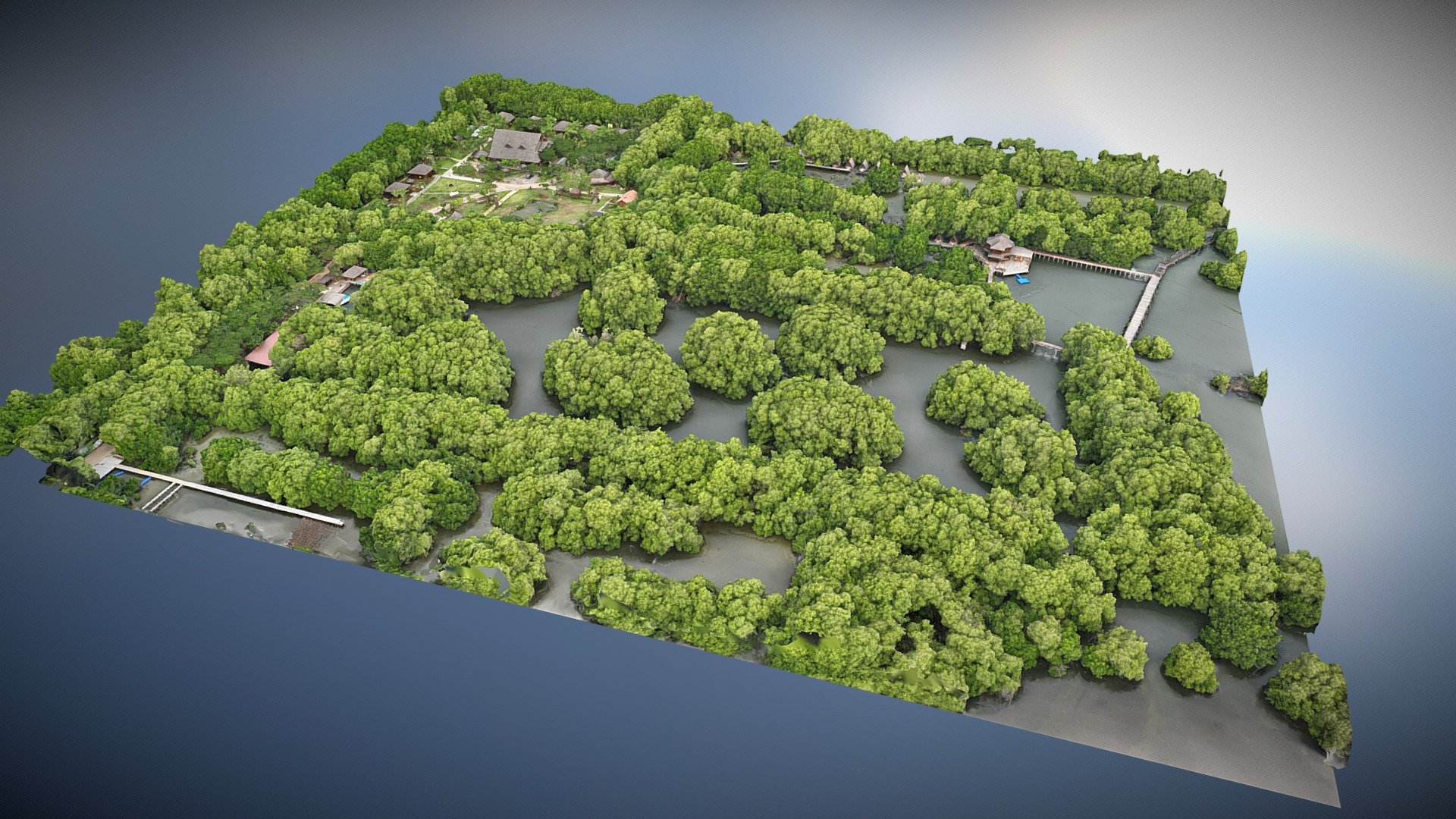Mangrove Conservation Park - 3D model by Samudera Indonesia [d3eaec0 ...