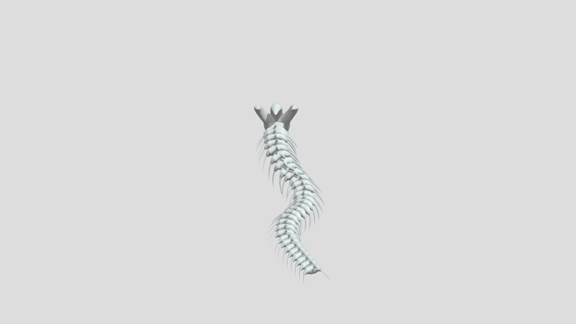 Snake Skeleton - 3D model by ganotiX [d3eb826] - Sketchfab
