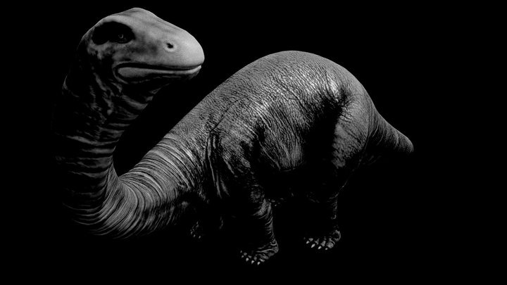 Brontosaurus 3D models - Sketchfab