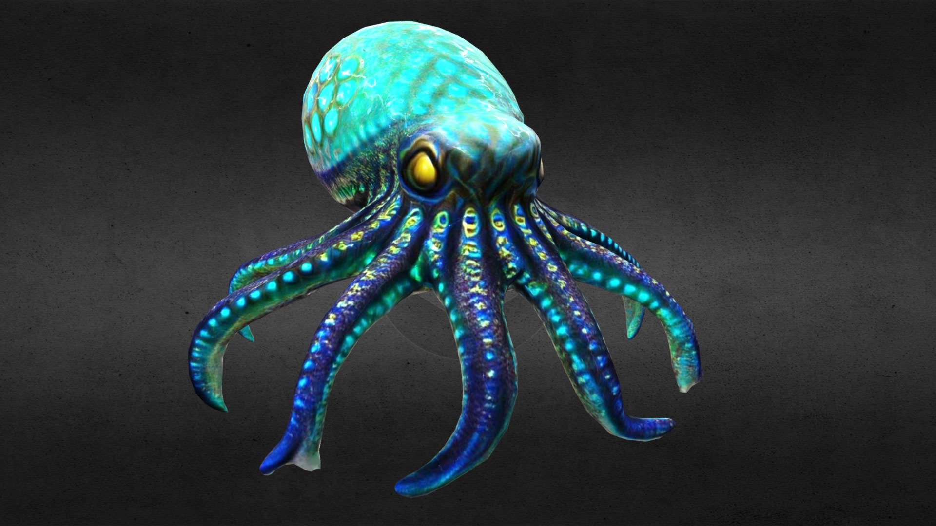 Octopus Squid Alpha - Buy Royalty Free 3D model by GAM3D (@gam3d.engine ...