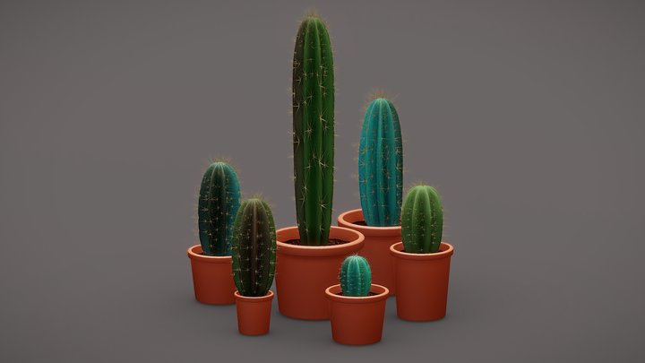 Cacti 3D models - Sketchfab