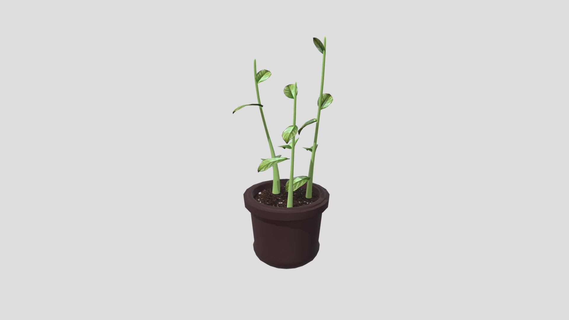 wk8_plant_epstein_aliyah - Download Free 3D model by peridot.8 [d3f8619 ...
