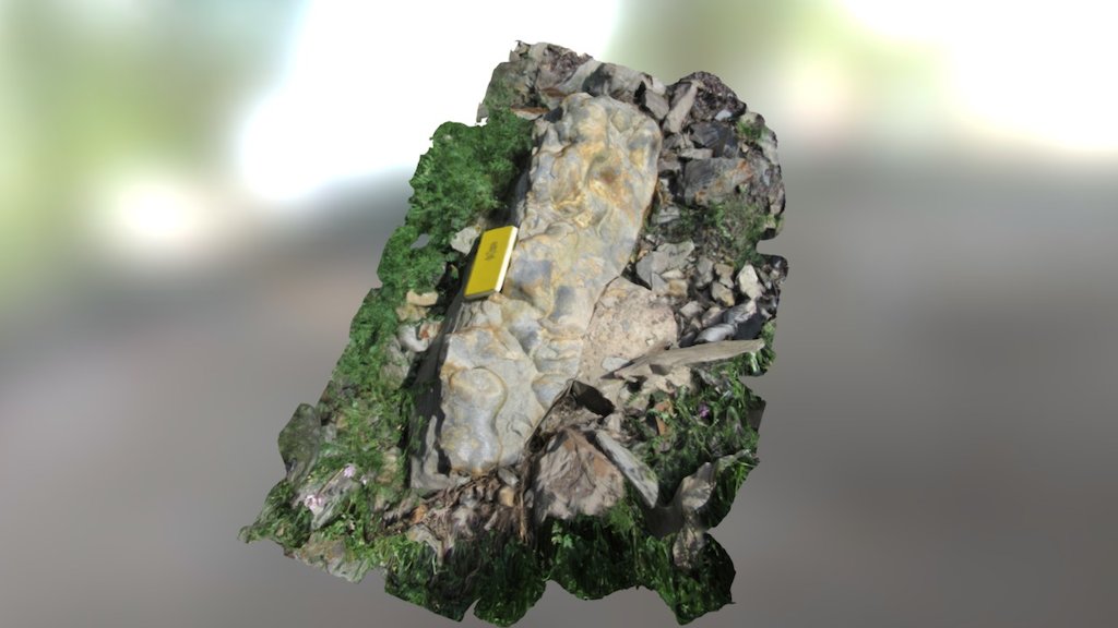 Load casts in the Hampshire Formation - Download Free 3D model by ...