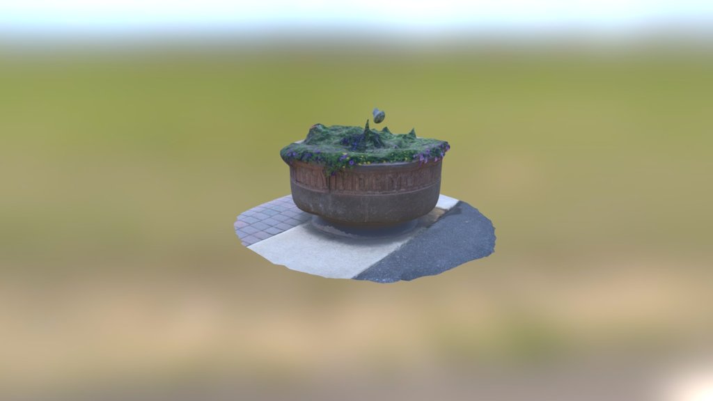 Flower Scanning test - Download Free 3D model by calcagjm [d3fcd70 ...