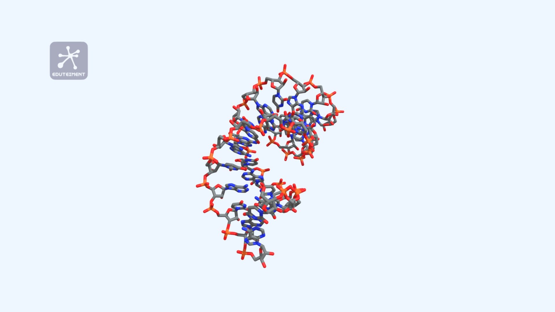Rna 3d Model By Eduteiment Camiloislas [d3ffd6c] Sketchfab