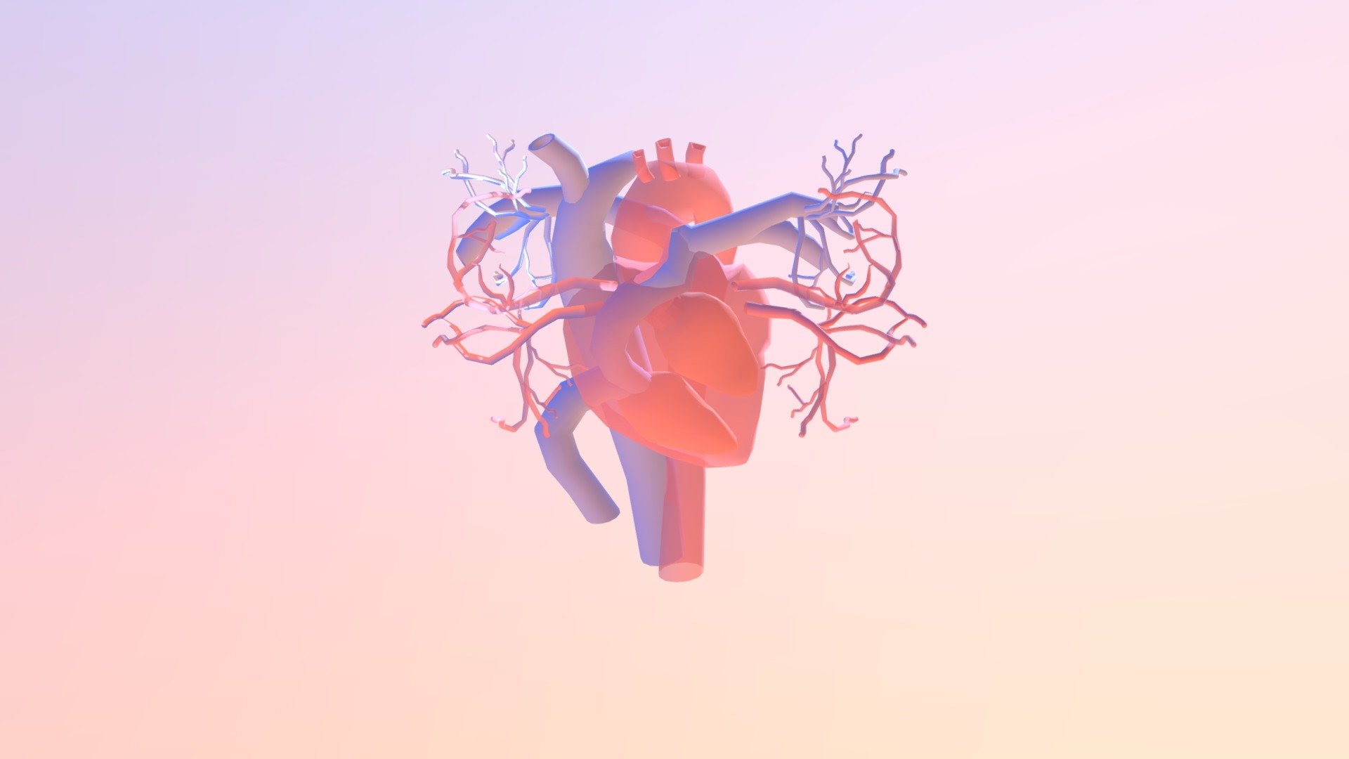 Circulatory System - 3D model by Ramon Duterte Memorial National High ...