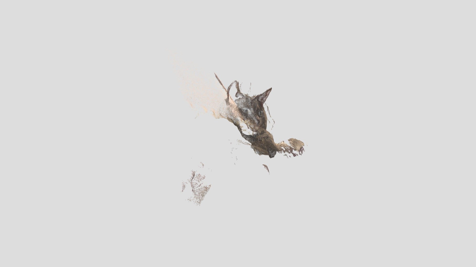 3D Scan_my cat - Download Free 3D model by JuliaChen [d408b9d] - Sketchfab