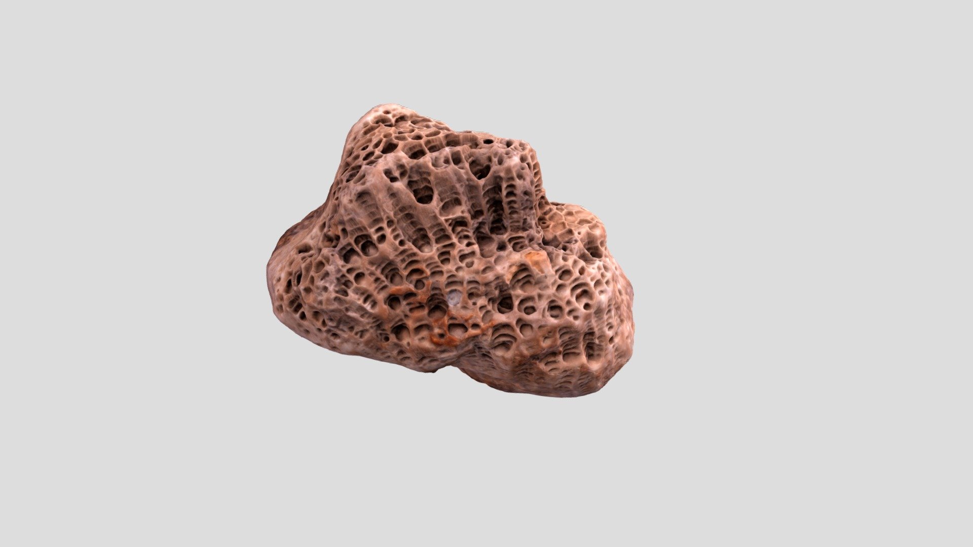 Ottawa River Crinoid (100k) Photogrammetry - 3D model by svickers ...