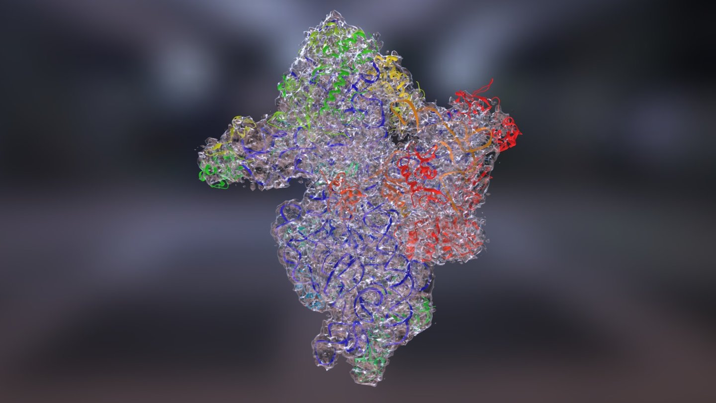EMDB › EMD-8148 - 3D model by Interactive 3D Data (@proteinsimulation ...