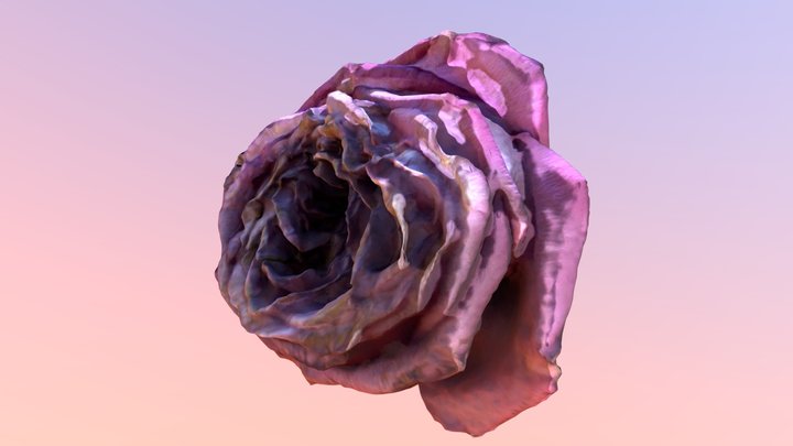 Wilted 3D models - Sketchfab