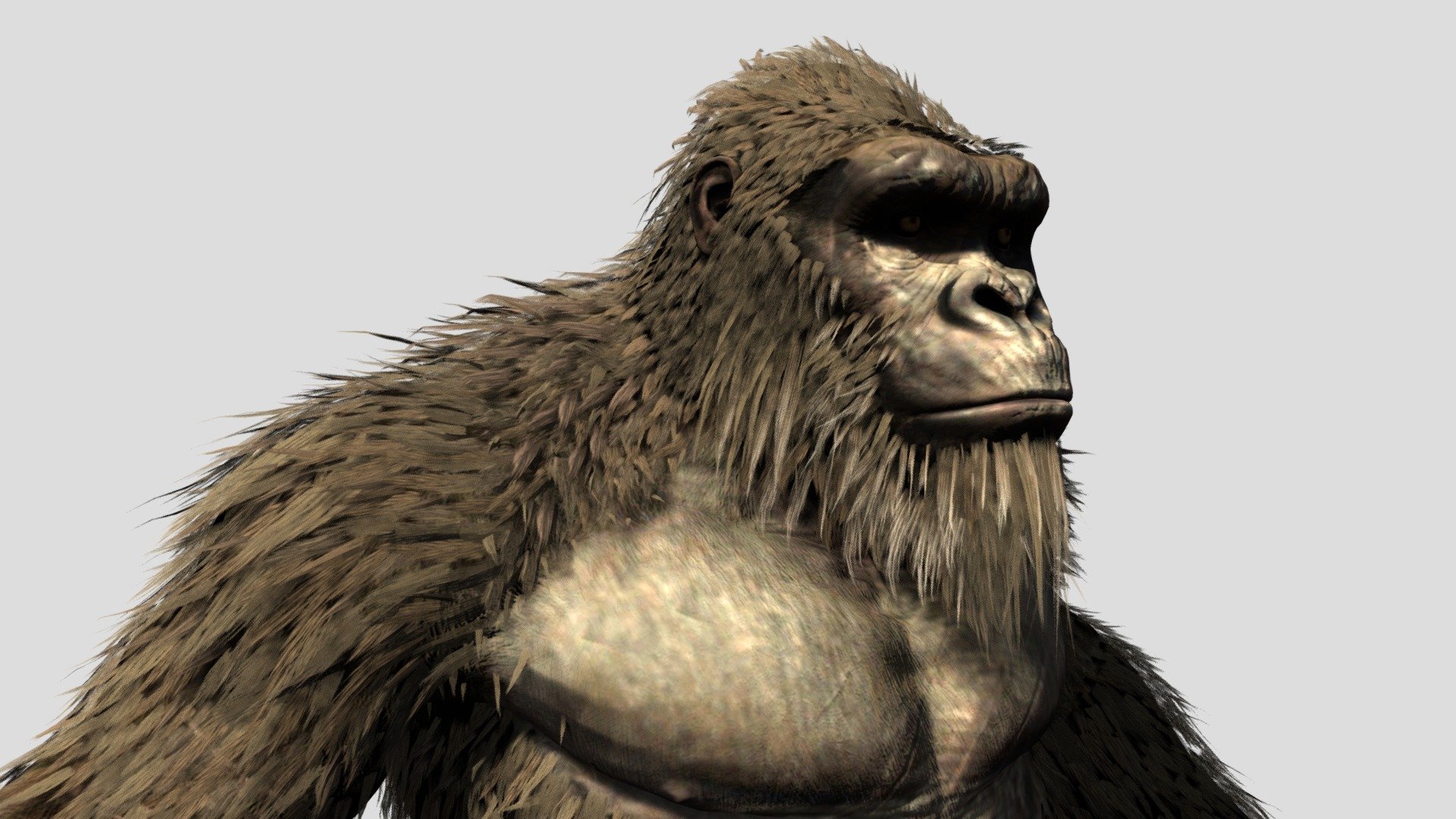 Kong 2021 rig - Download Free 3D model by Scrunchy32205 (@ndoll0571 ...