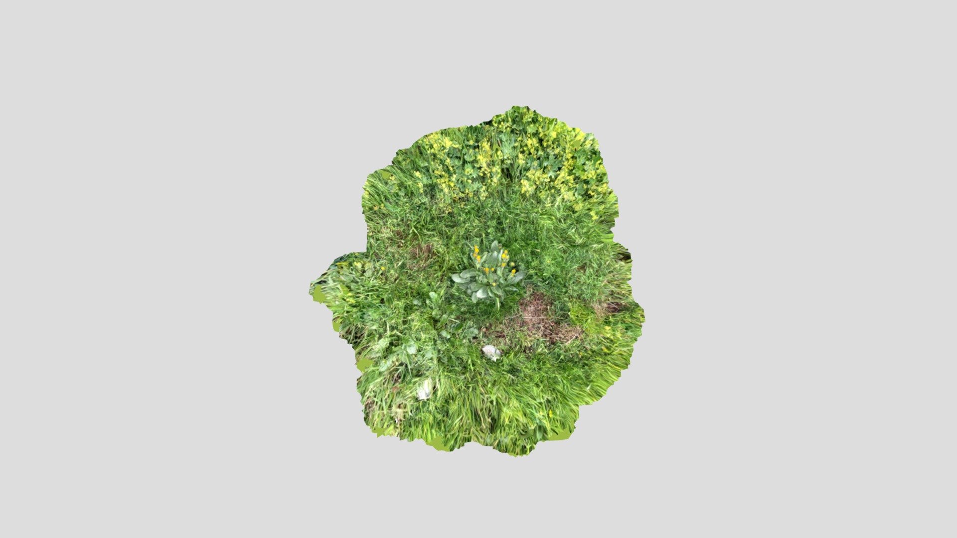 A TRNIO Model - 3D model by ukito [d412332] - Sketchfab