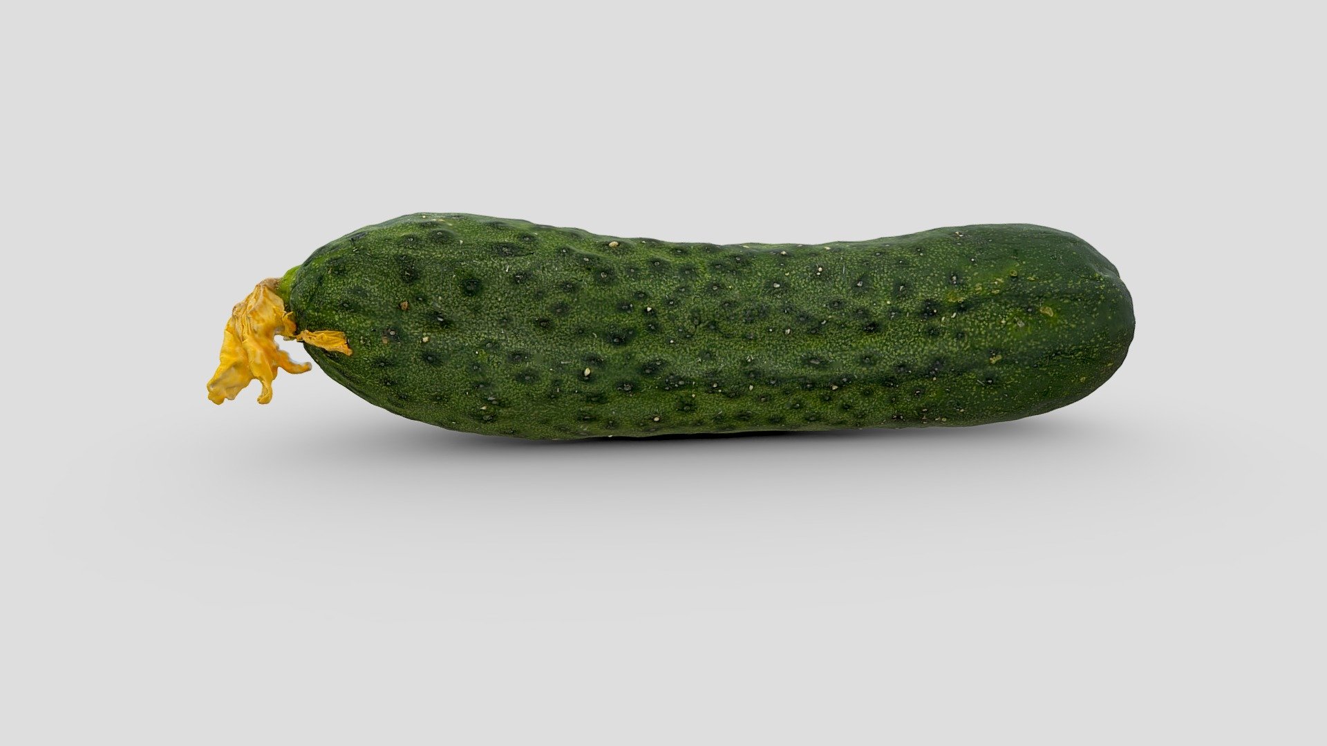 Cucumber with pimples - 3D model by bemute [d4216cd] - Sketchfab