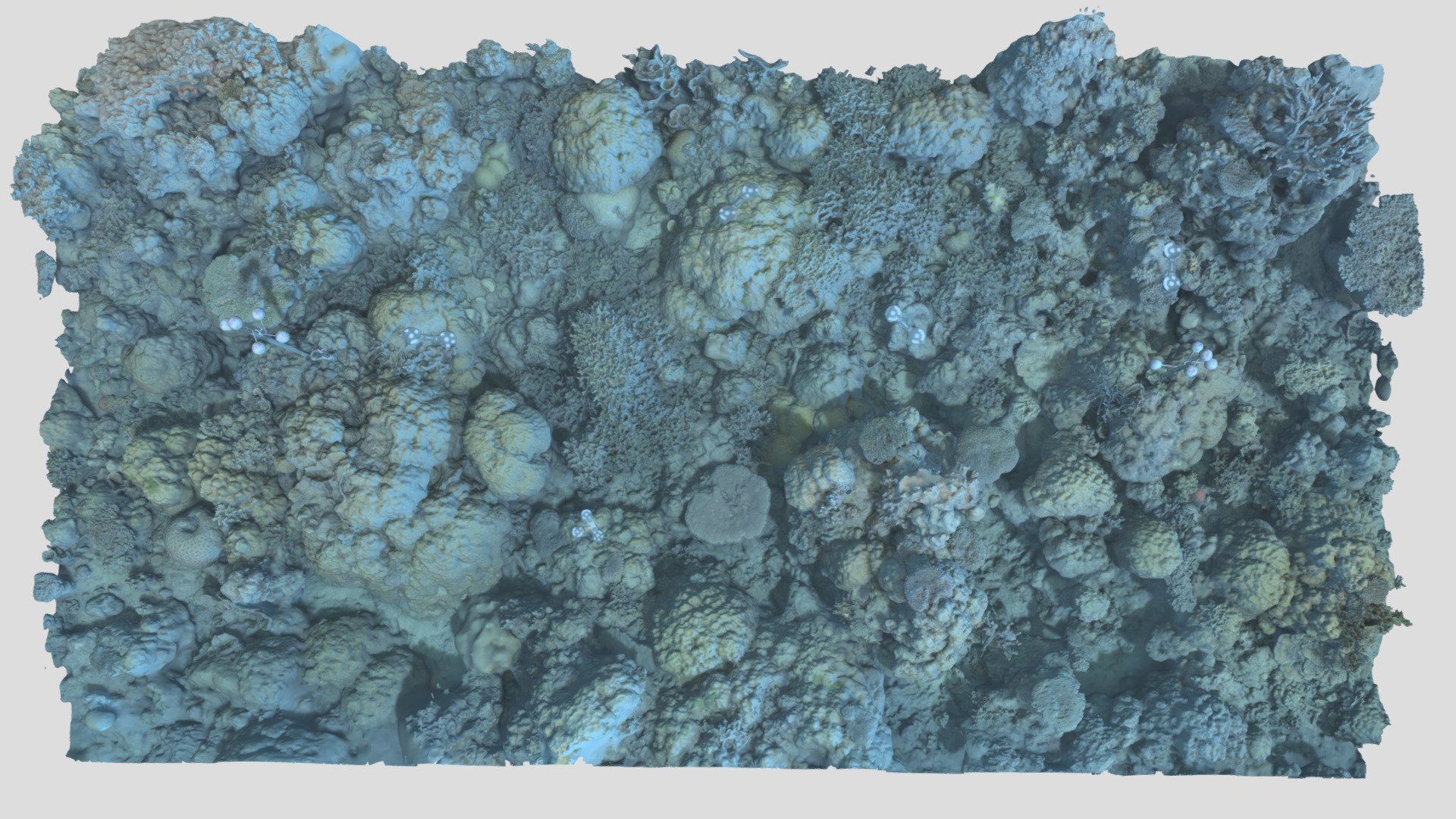 Masig_BA2S_P1_202302 - Download Free 3D model by EcoRRAP (@AIMSEcoRRAP ...