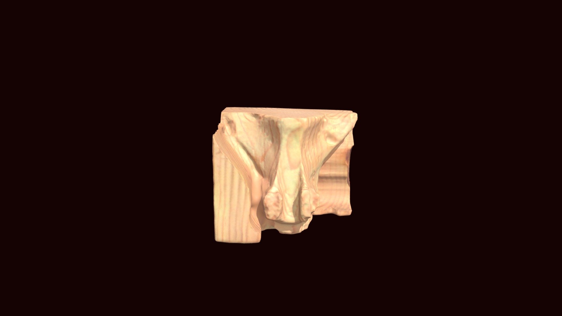 Wooden Mastodon Vertebra (VCU_3D_8294) - 3D model by Virtual Curation ...