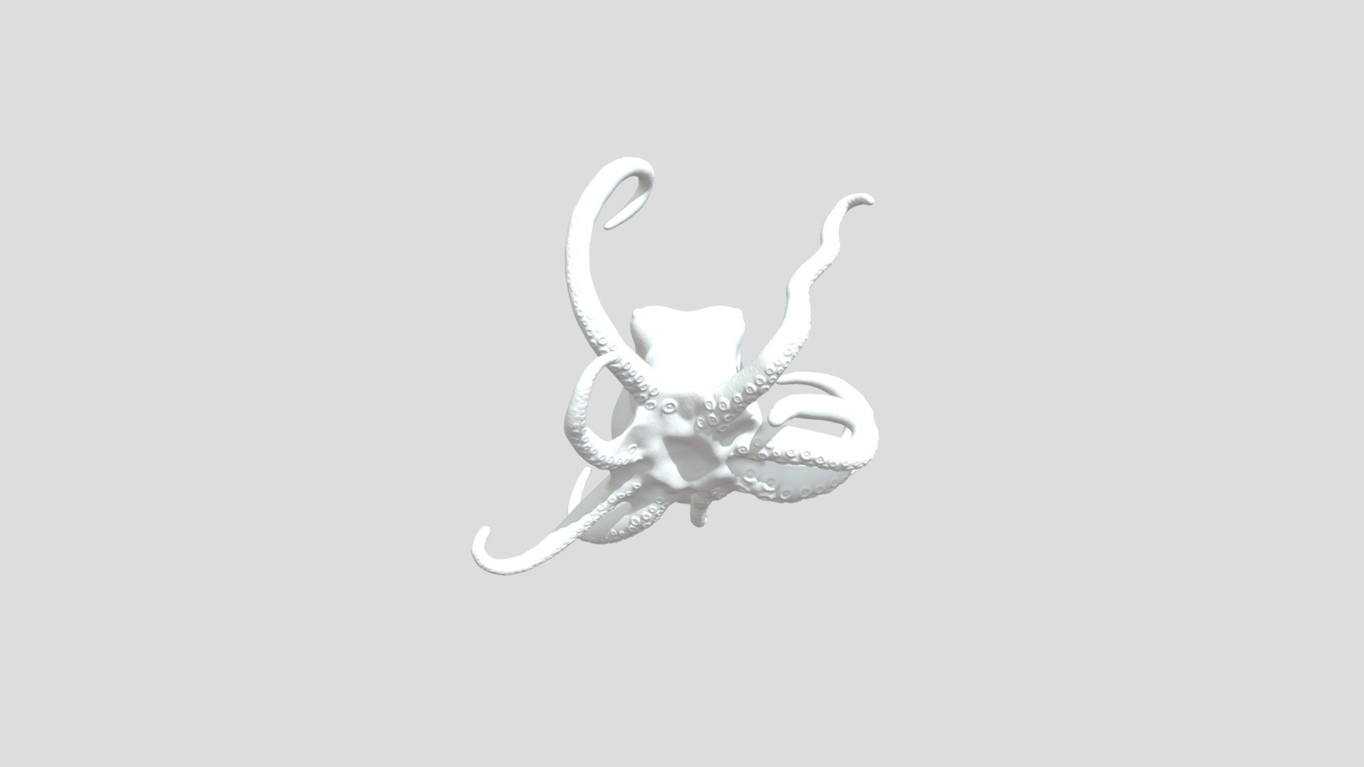 Octopus - 3D model by Clarkieee [d43847f] - Sketchfab