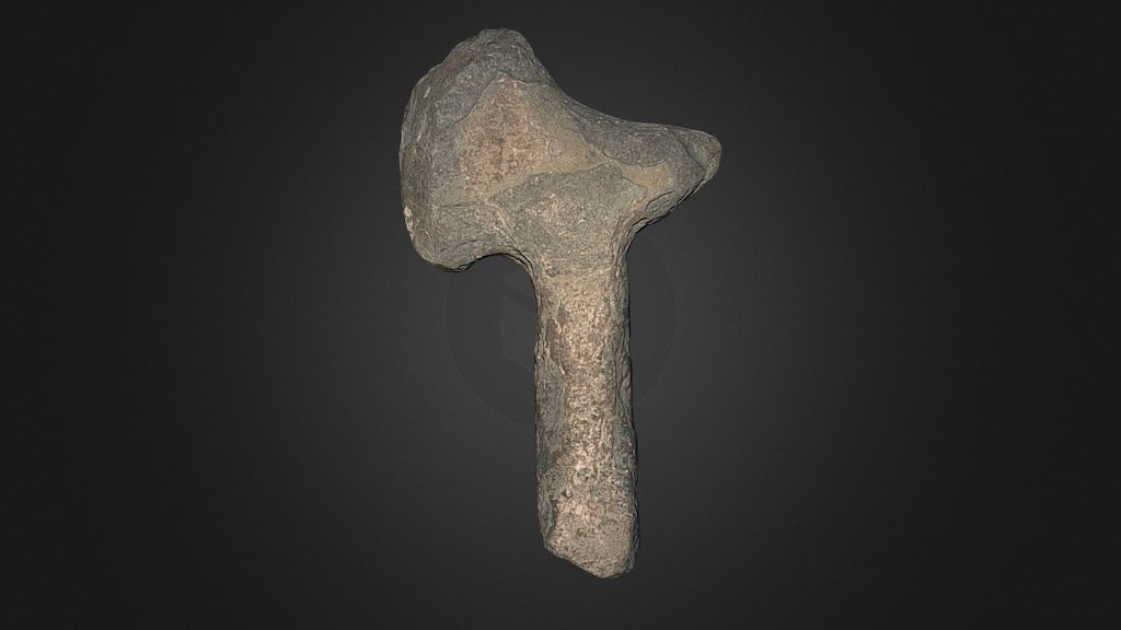 Stone Cleaver, Orkney or Shetland - Download Free 3D model by Dr Hugo ...