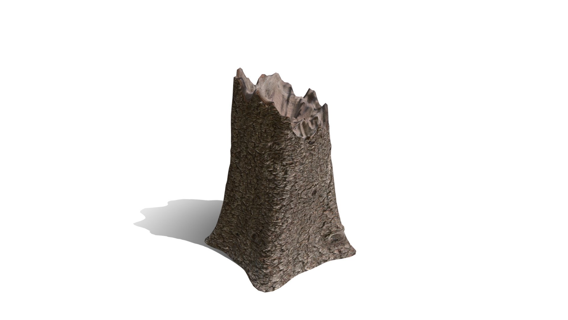 Realistic HD Engelmann spruce (42/43) - Download Free 3D model by ...