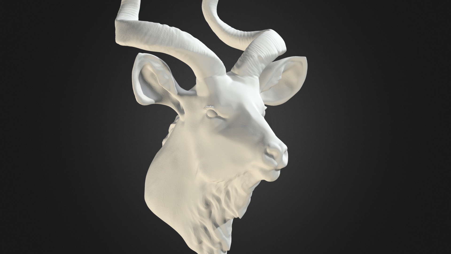 Greater Kudu - Bust - 3D model by henryfortun [d466660] - Sketchfab