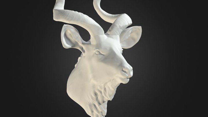 Kudu 3D models - Sketchfab