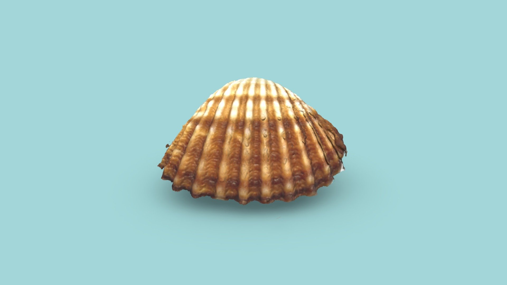 Macro - Download Free 3D model by shayko [d468c1d] - Sketchfab