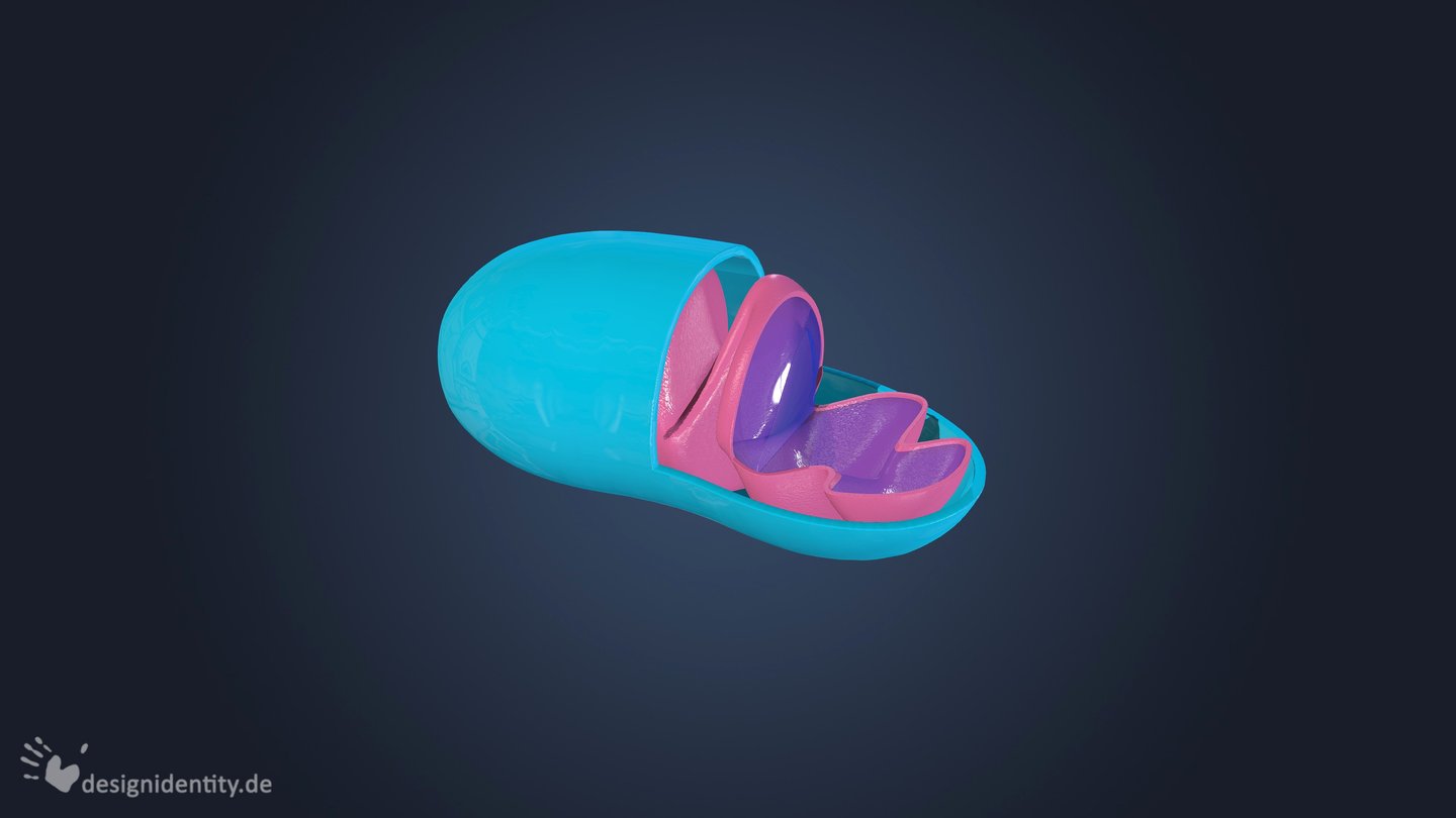 Zelle - 3D model by Andrej Piatkowski (@rundum-rummel) [d46f097 ...