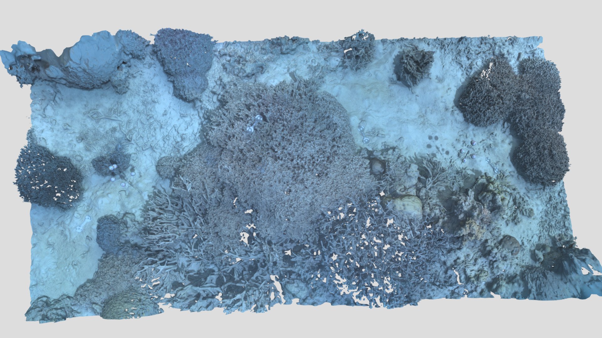 Davies_LA2S_P3_202101 - 3D model by EcoRRAP (@AIMSEcoRRAP) [d470904 ...