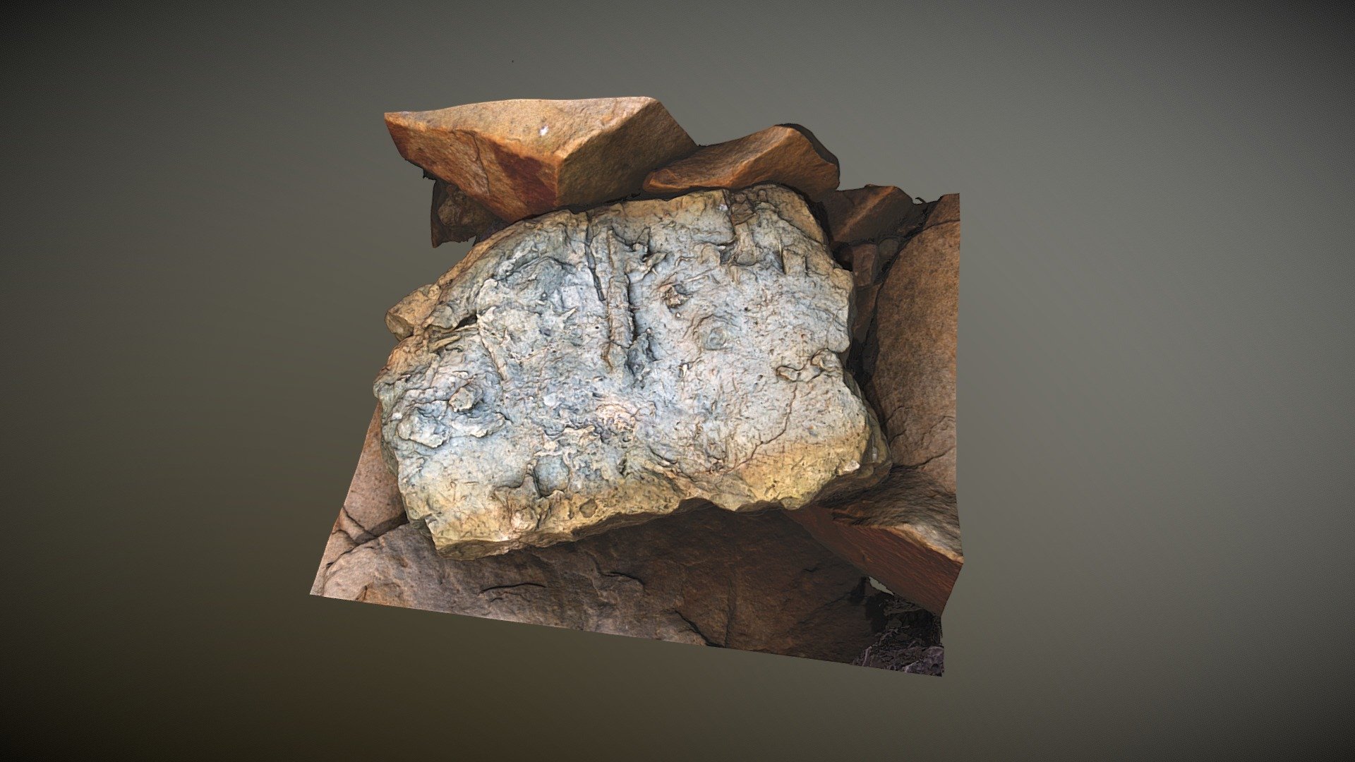 Whitby Coast Therapod Footprint Slab - 3D model by ThinkSee3D [d4737cb ...