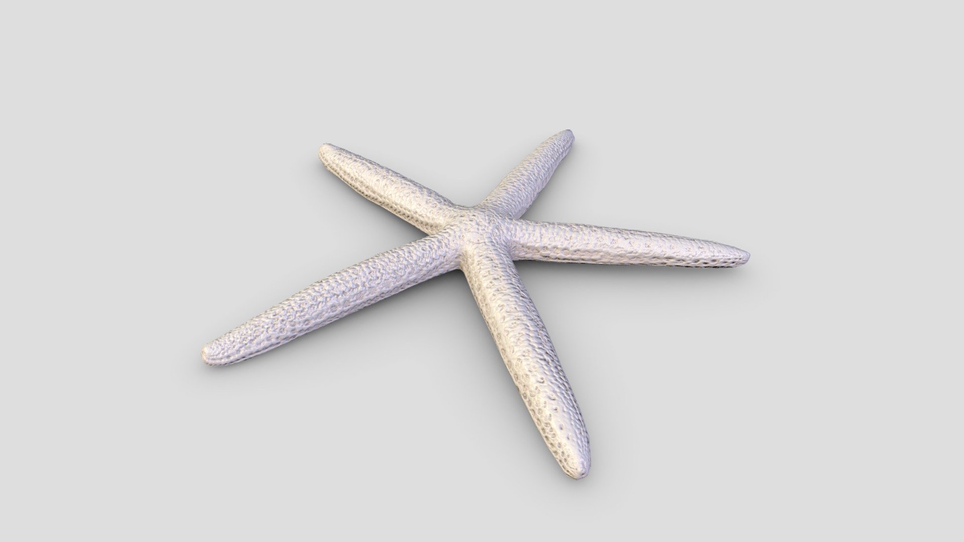 Finger Starfish - Buy Royalty Free 3D model by CyberFox 3D Studio ...