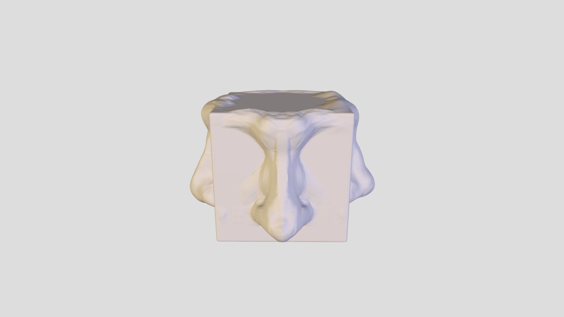 Nose Cube - Download Free 3D model by Bry (@bdoherty) [d487863] - Sketchfab