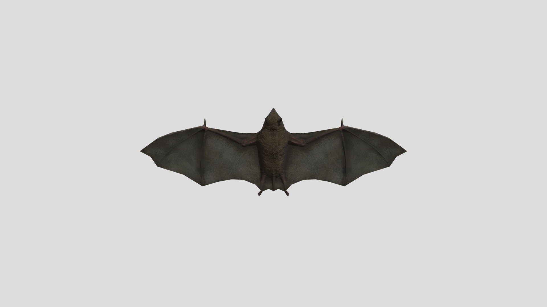 Bat - 3D model by SAVIA_Colombia (@Minambiente_Col) [d489157] - Sketchfab
