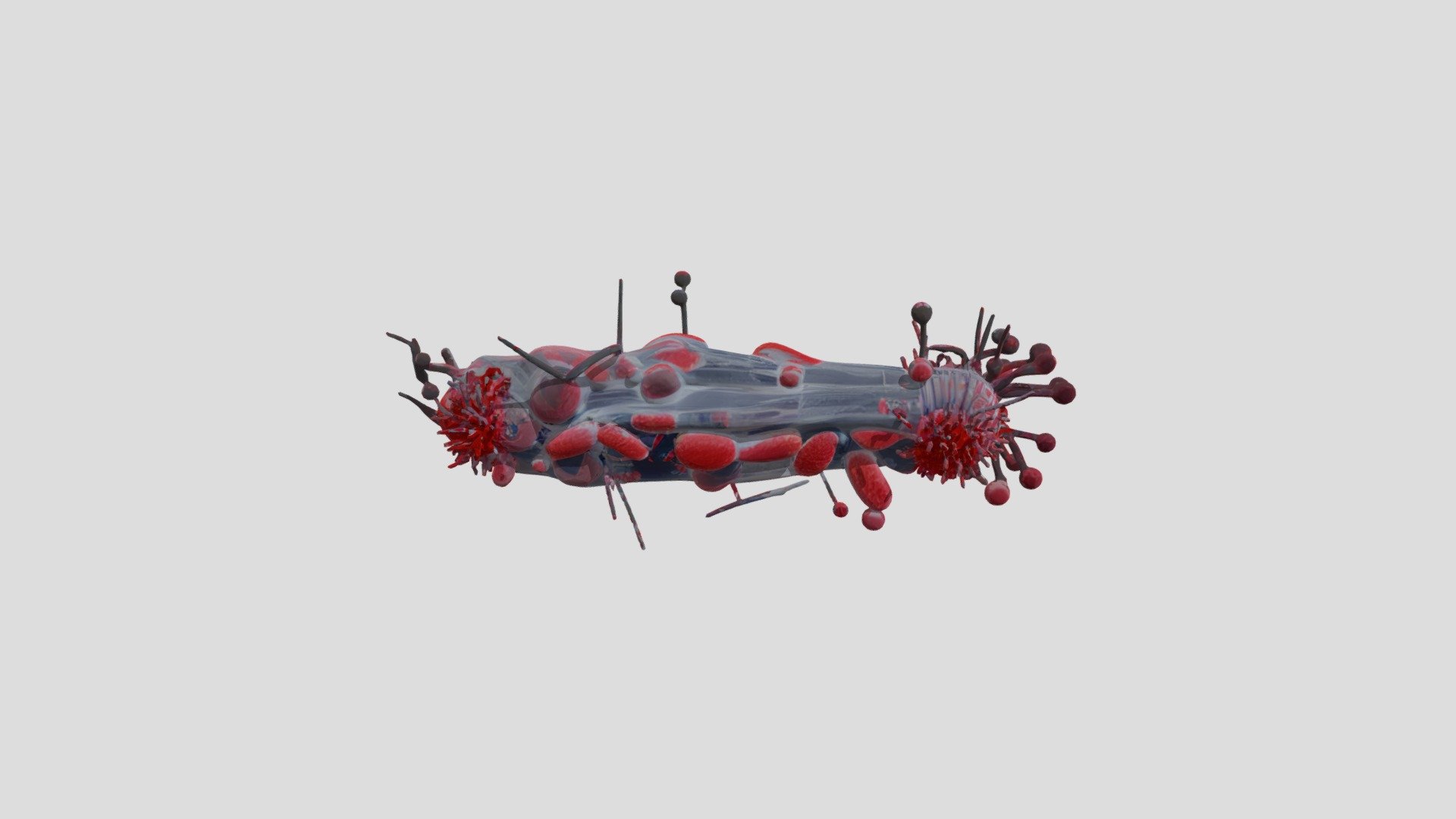 bacteria - Download Free 3D model by ximeeh [d49333a] - Sketchfab